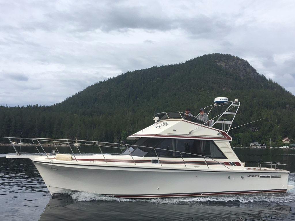 1989 34 Double Eagle 34 Flybridge Sportfish Boats for Sale