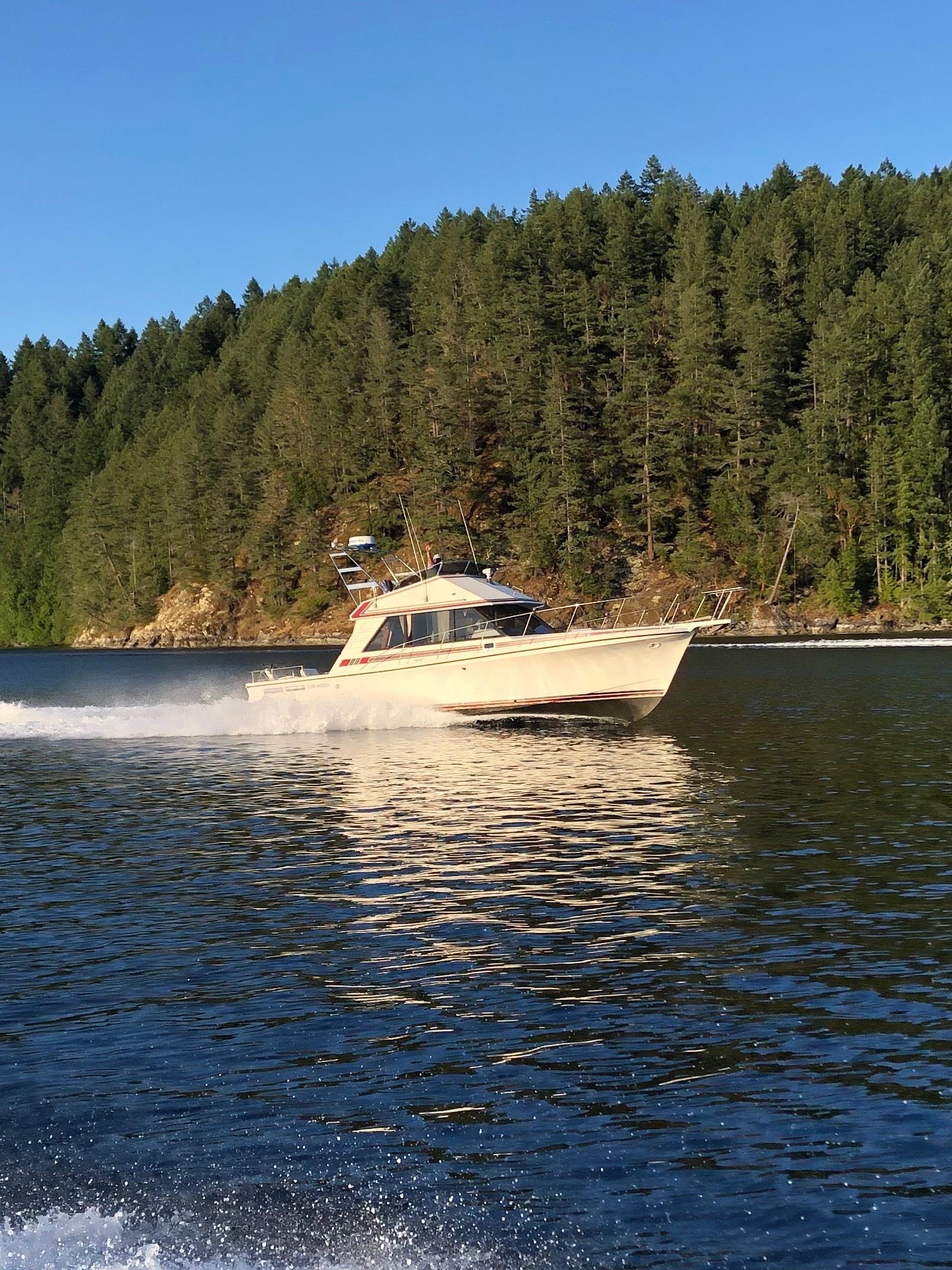 1989 34 Double Eagle 34 Flybridge Sportfish Boats for Sale