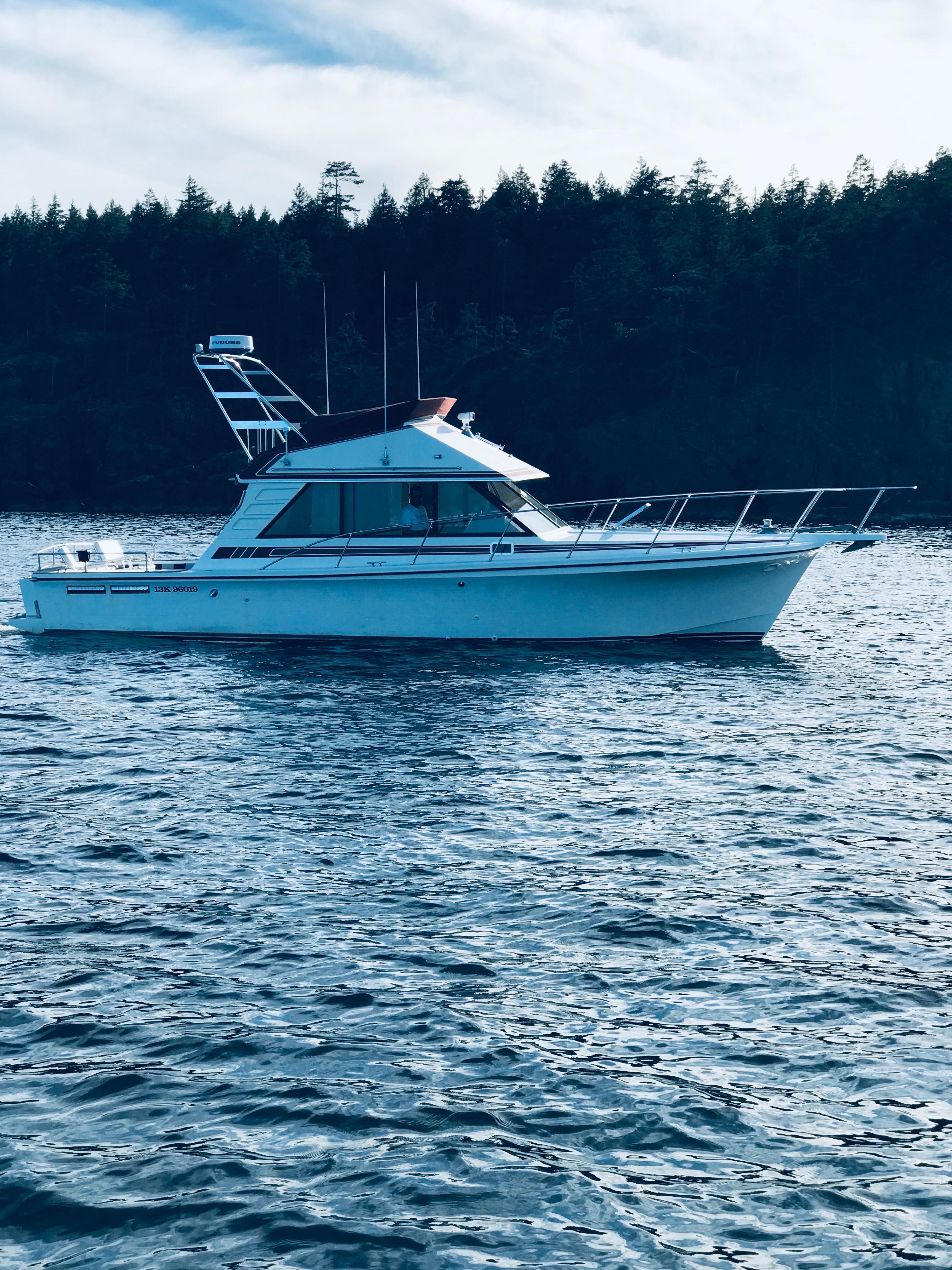 1989 34 Double Eagle 34 Flybridge Sportfish Boats for Sale