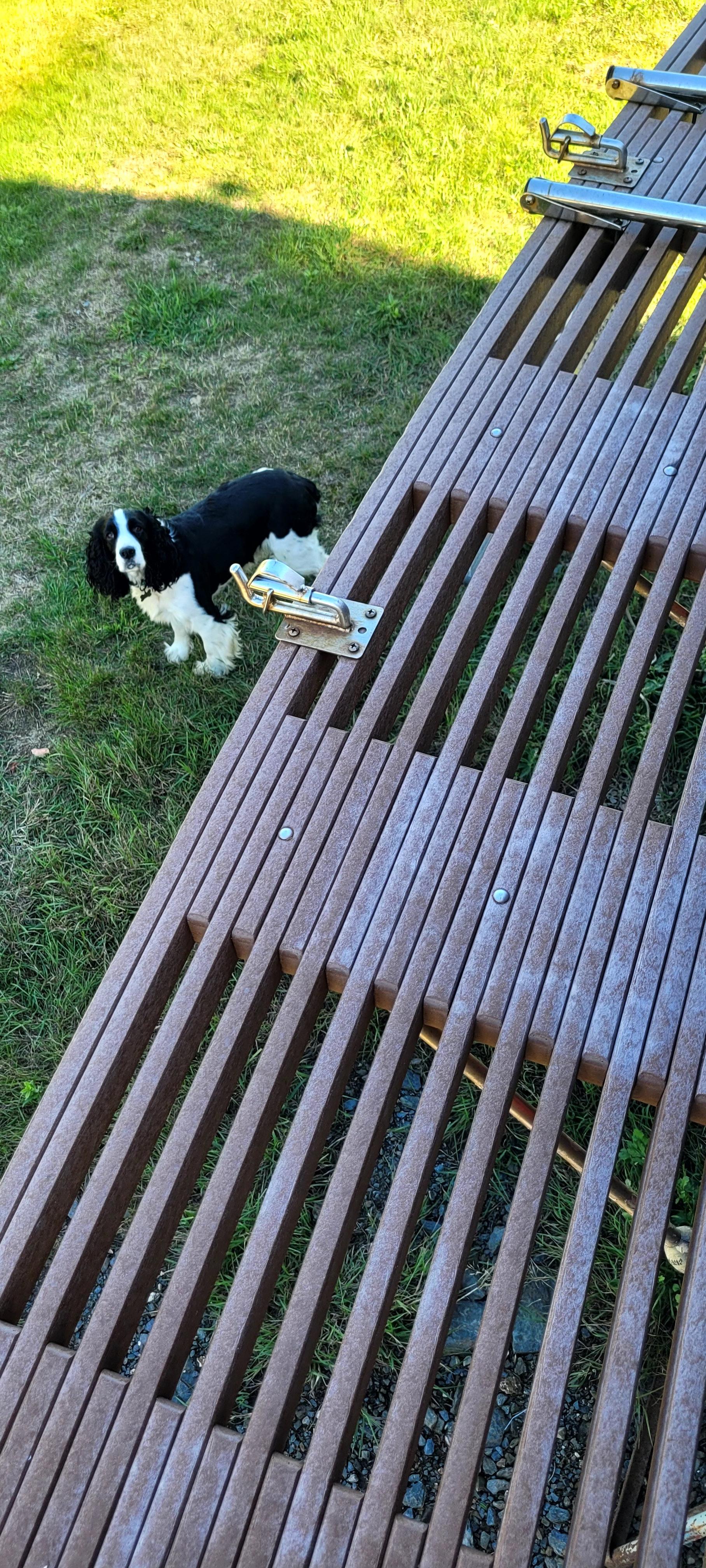 Yachts for Sale - SYS Yacht Sales