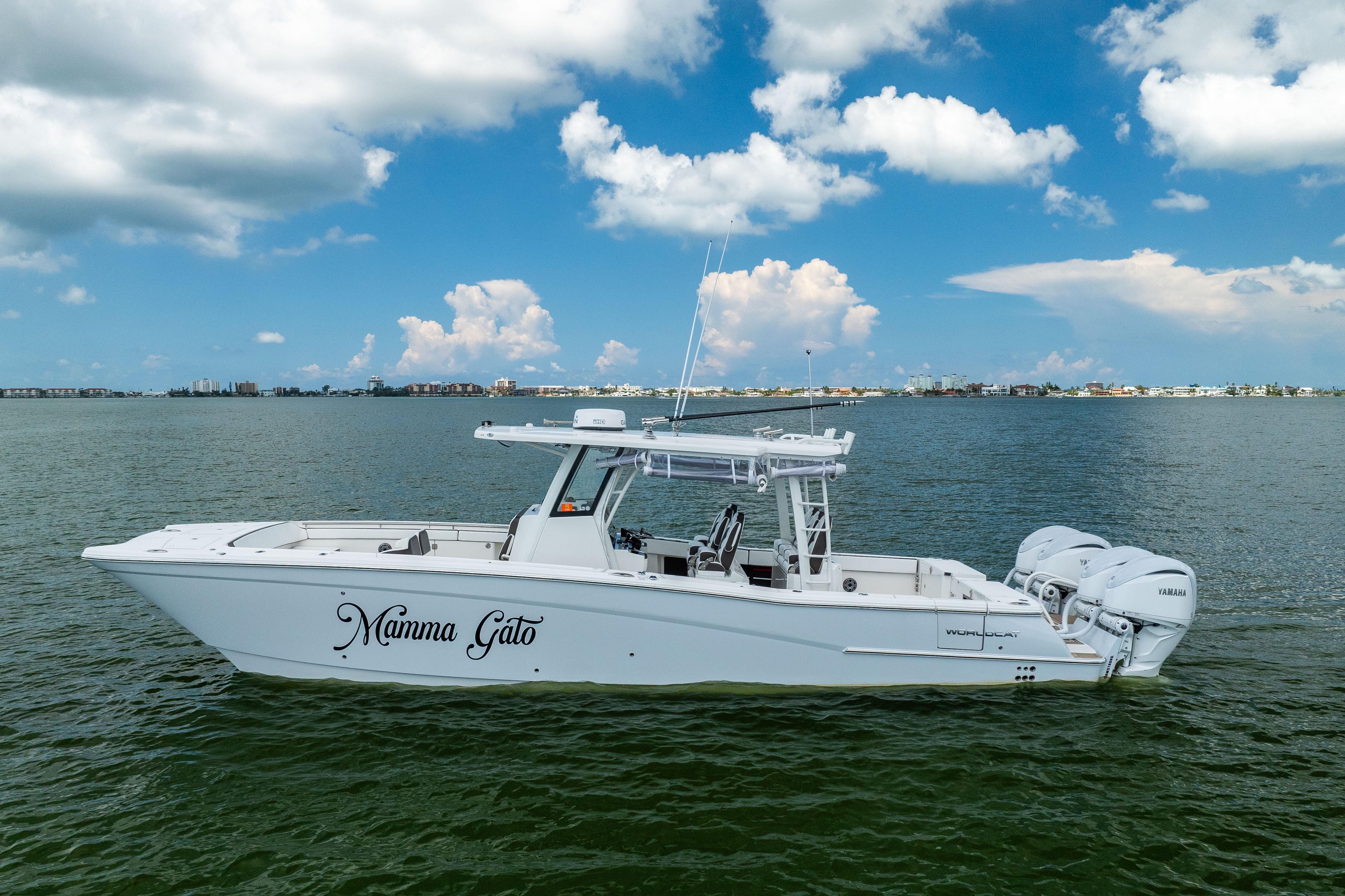 World Cat Archives - Bluewater Yacht Sales