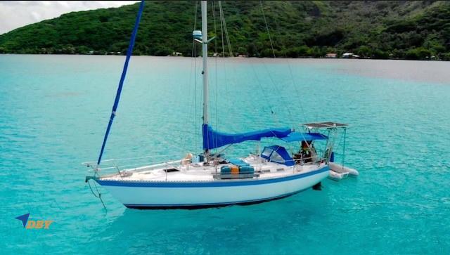 Tanuki Yacht for Sale | 52 Bavaria Yachts Newport, Australia | Denison ...