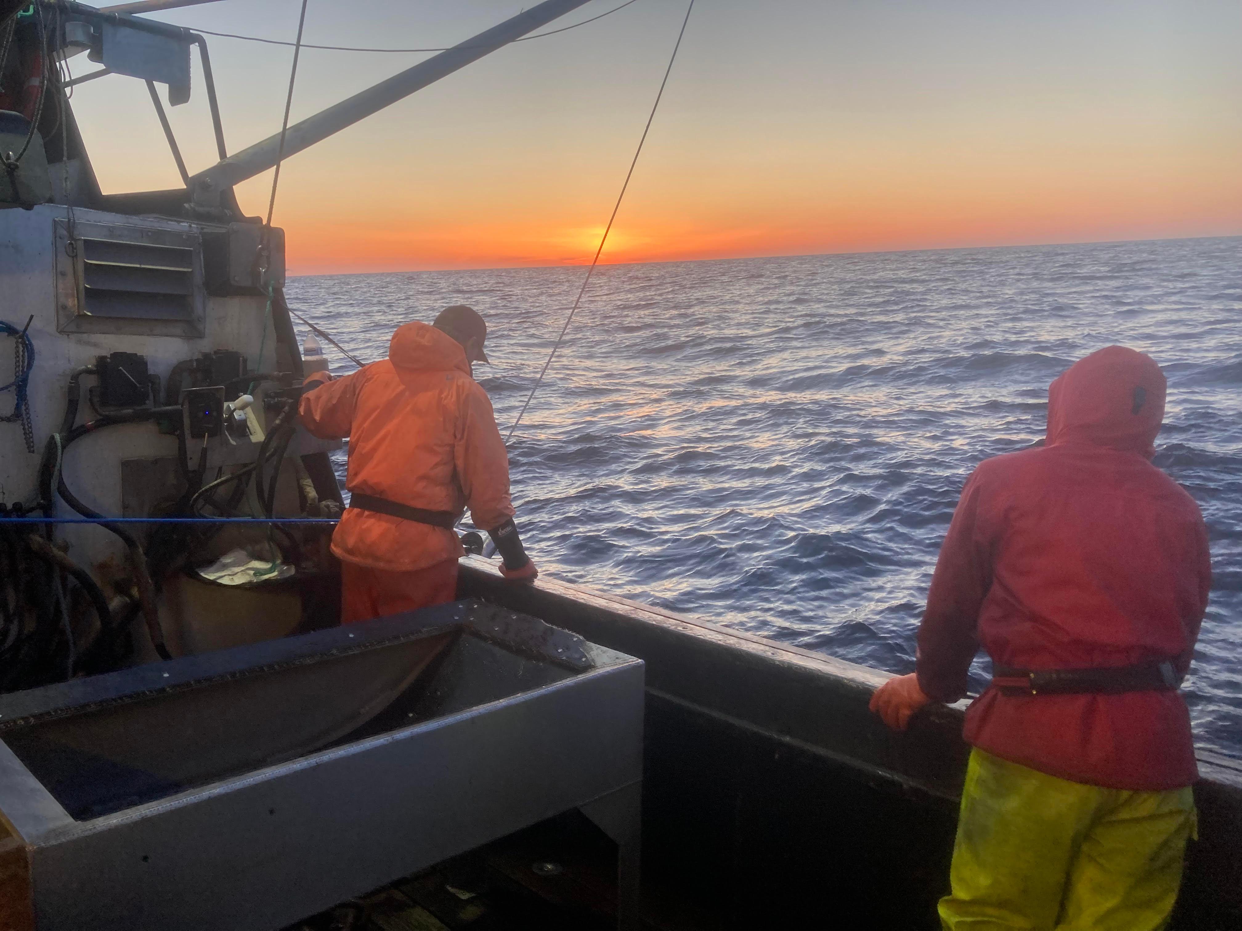 1979 Custom Longline/Tender/Crabber Commercial for sale - YachtWorld