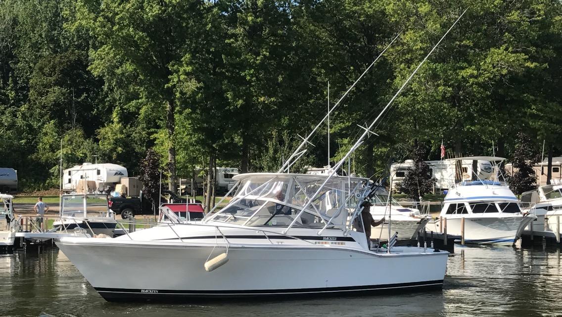1998 Blackfin Combi 31 Barche da pesca sportiva in vendita- YachtWorld