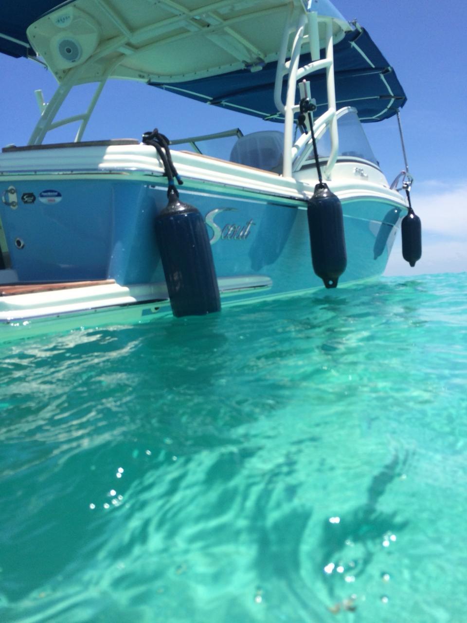 2013 Scout 245 Dorado Dual Console for sale - YachtWorld