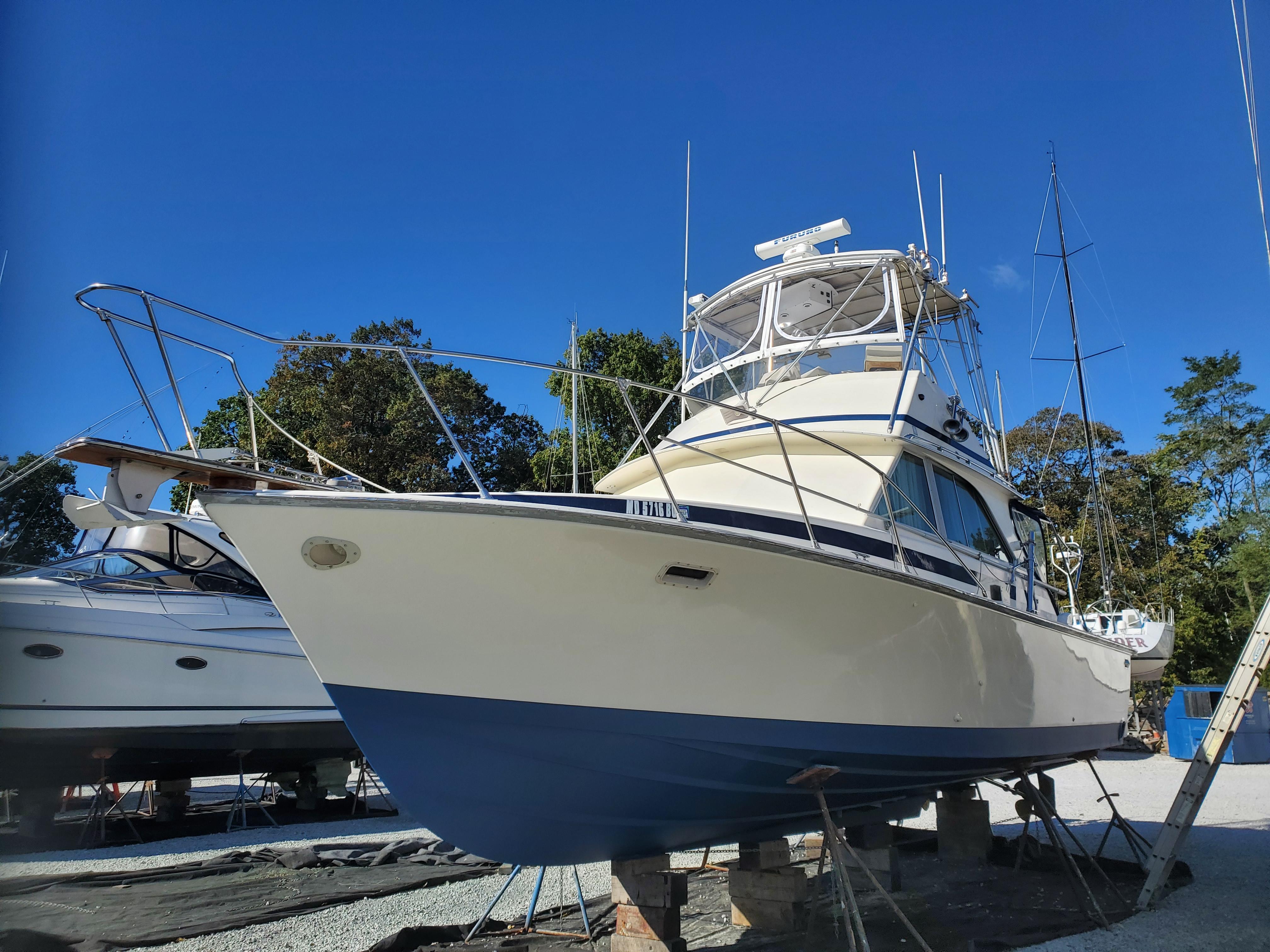 1976 Bertram 35 Boat For Sale - Waa2