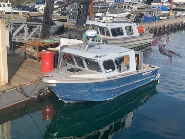 1994 EagleCraft Workboat Cuddy Cabin for sale - YachtWorld