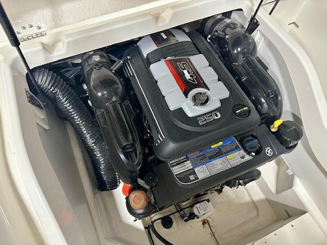 2024 Bayliner DX2250 Deck for sale - YachtWorld