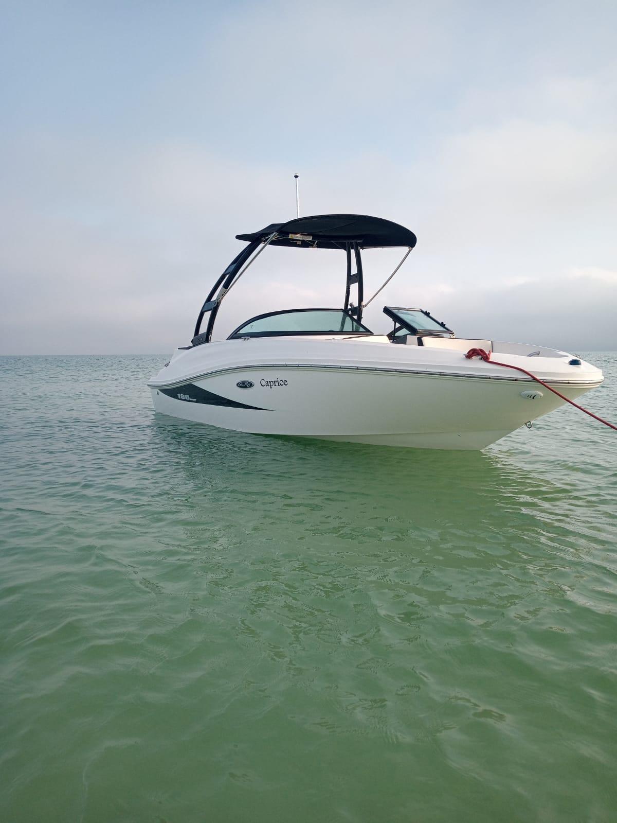 2013 Sea Ray 190 Sport Bowrider for sale - YachtWorld