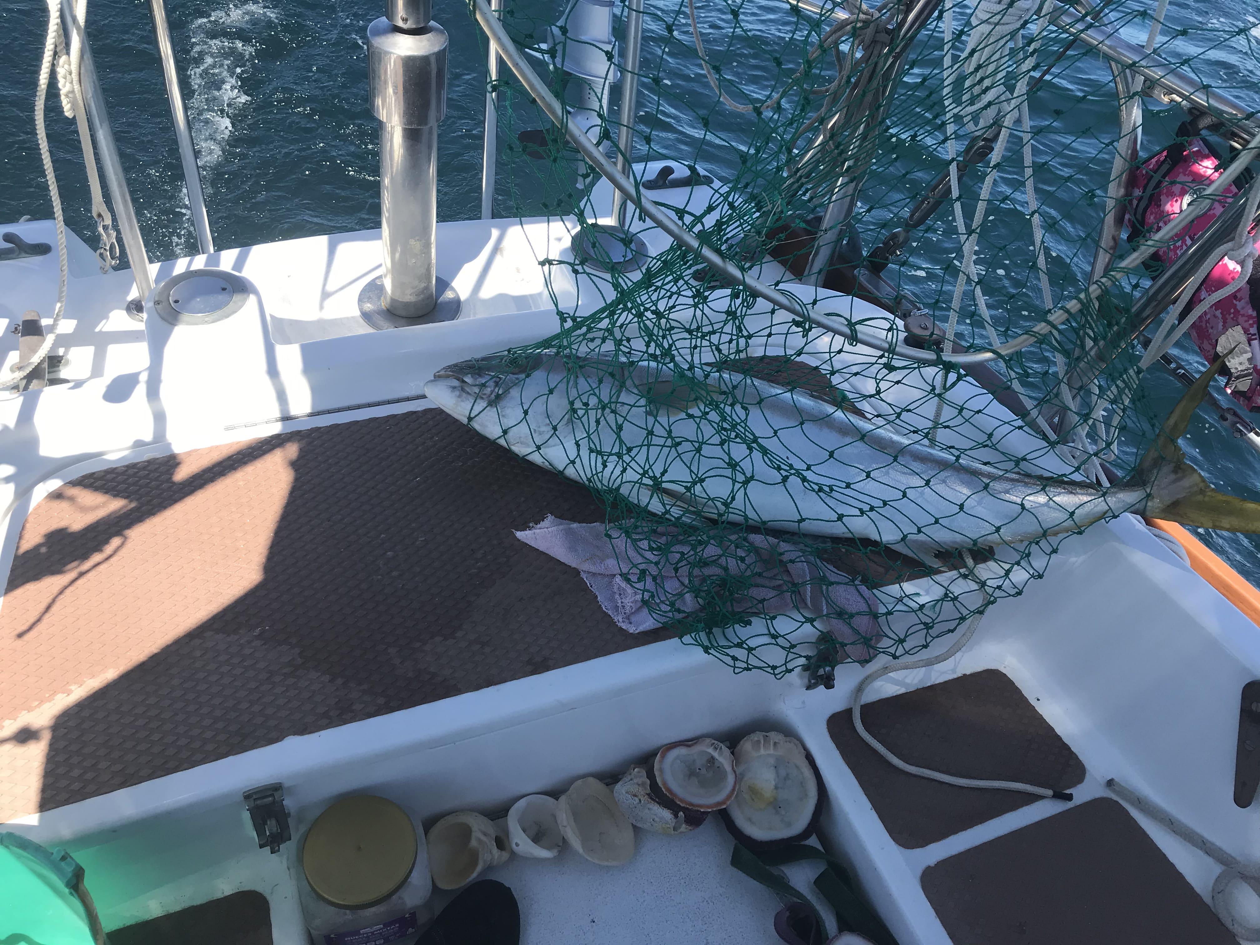 1968 Cascade 36 Cutter for sale - YachtWorld