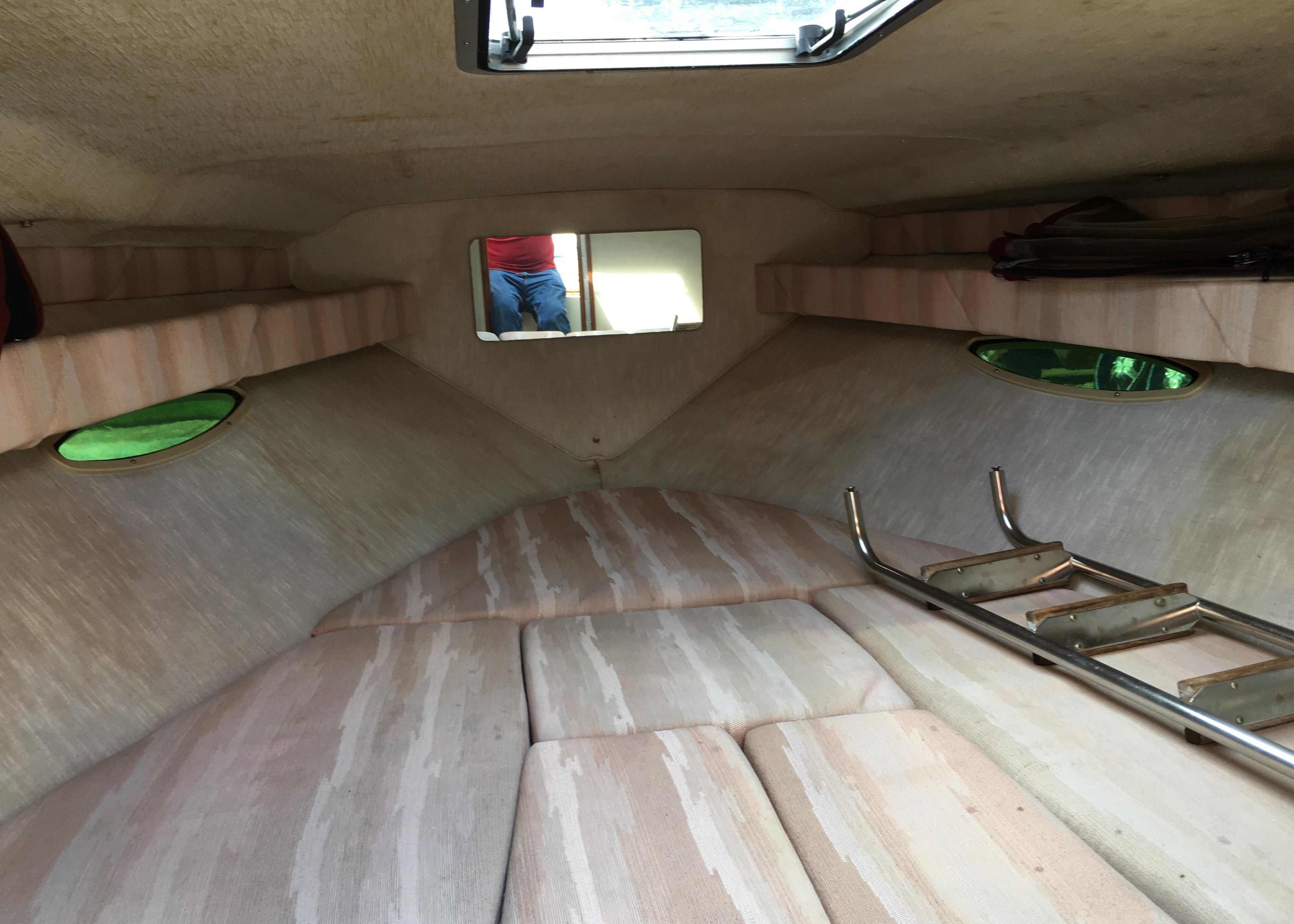 1990 Sea Ray 260 Cuddy Cabin Cuddy Cabin for sale - YachtWorld