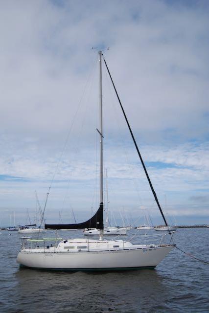 1977 C&C 29 Racer/Cruiser for sale - YachtWorld