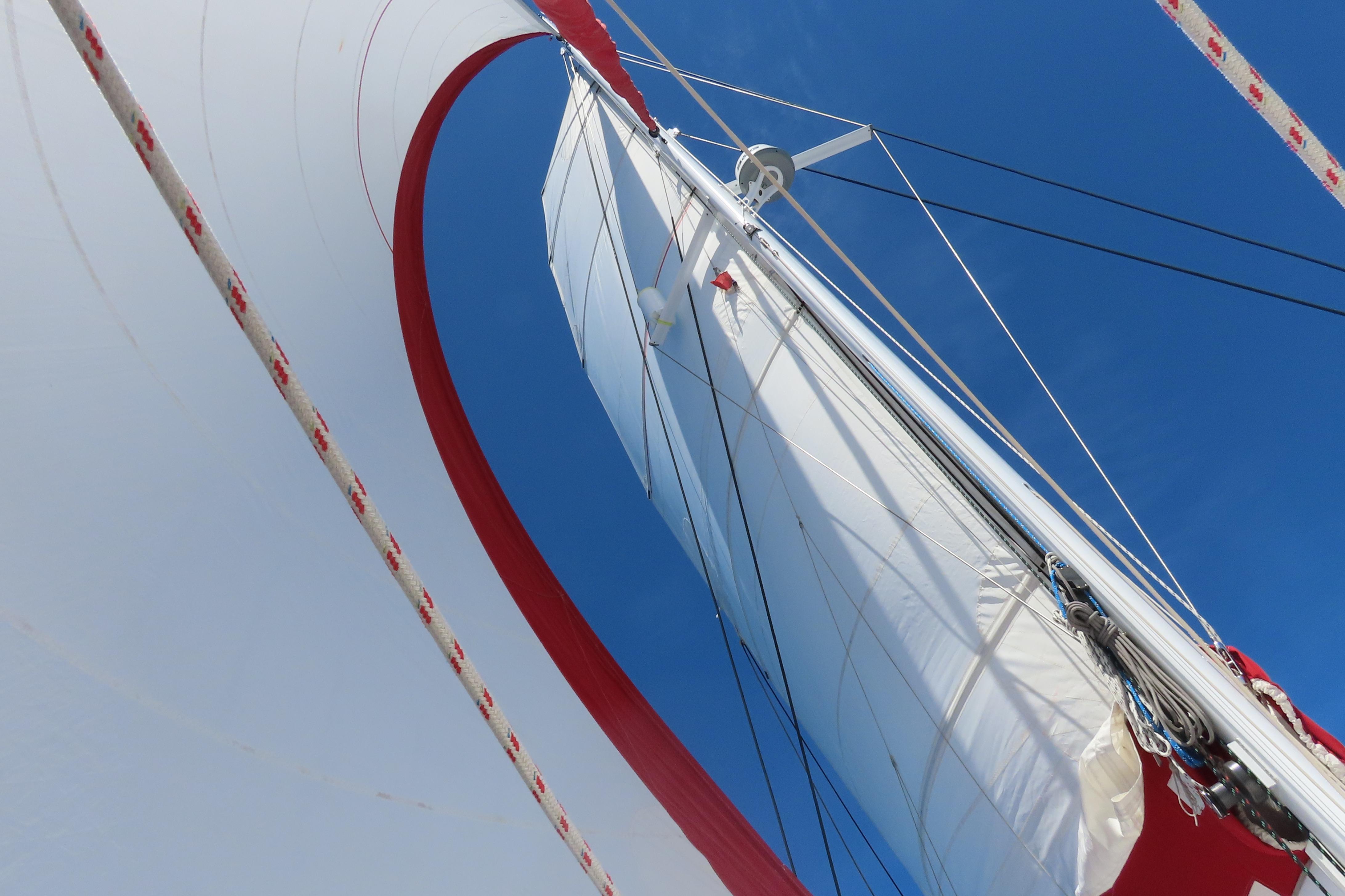 2015 NEEL 45 Multi-Hull for sale - YachtWorld