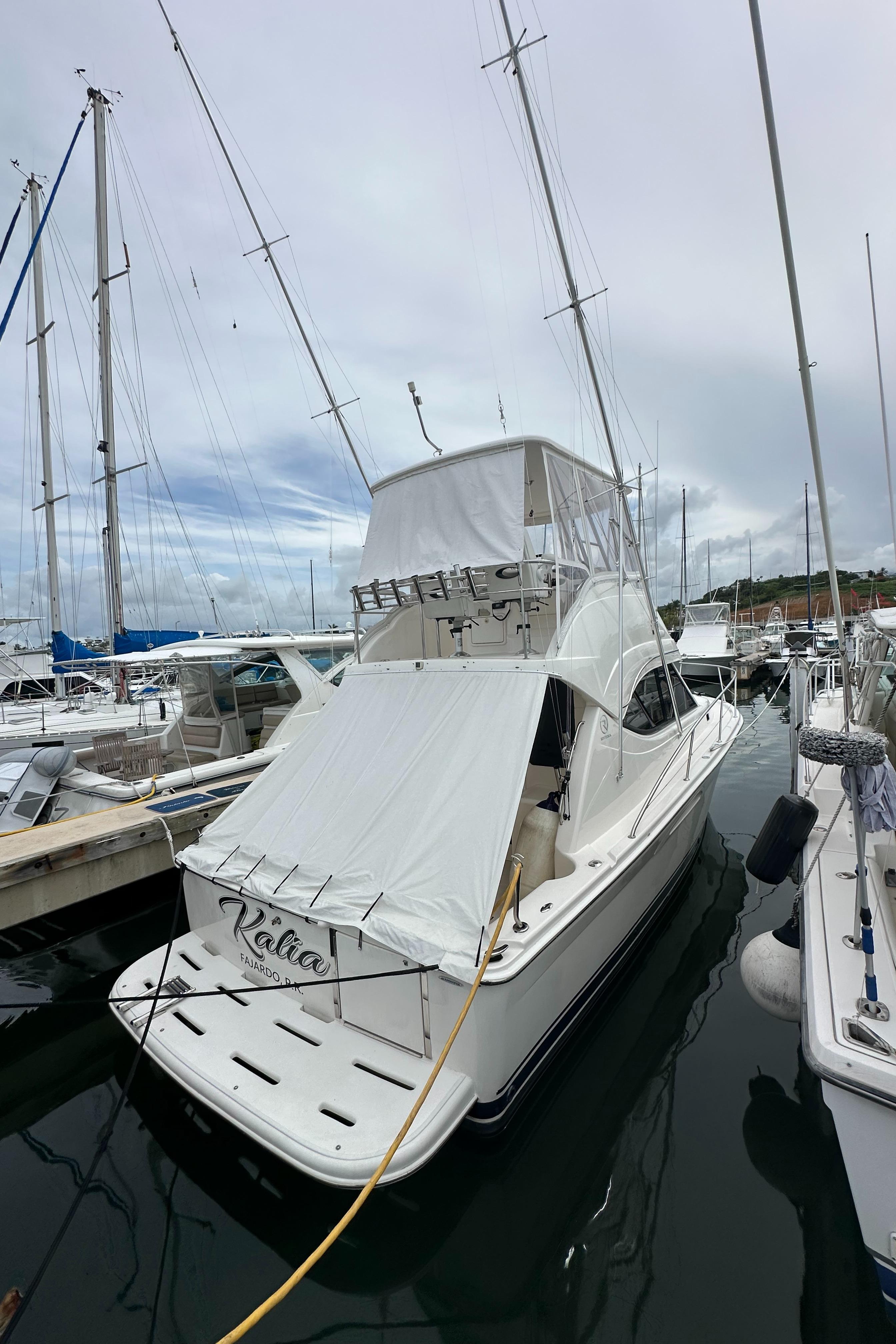 2006 Riviera 33 Flybridge Mega Yacht for sale - YachtWorld