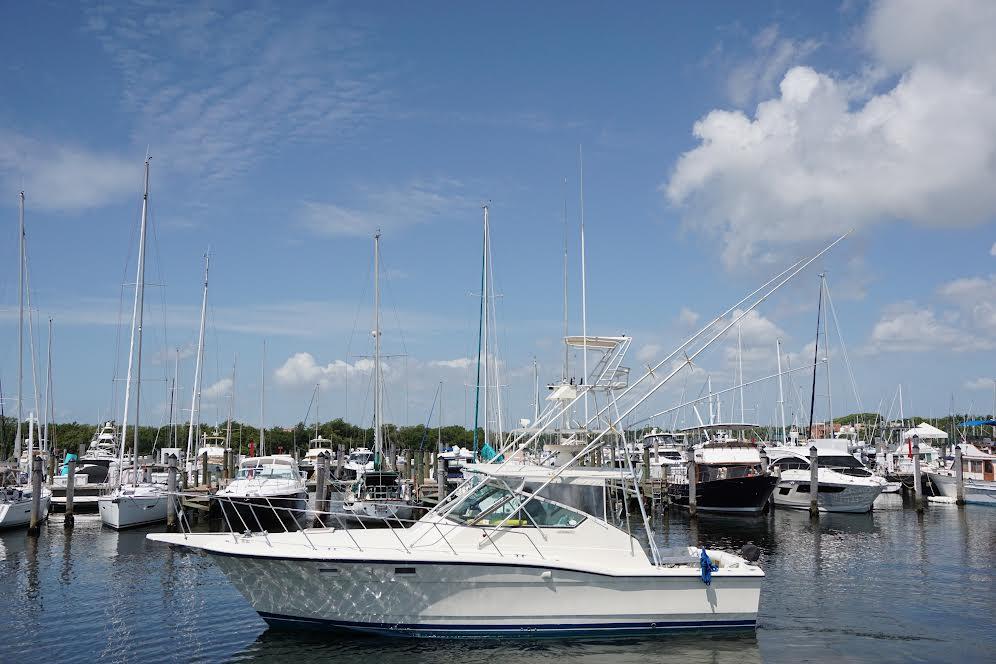 1985 Hatteras 36 Convertible Sport Fishing for sale - YachtWorld