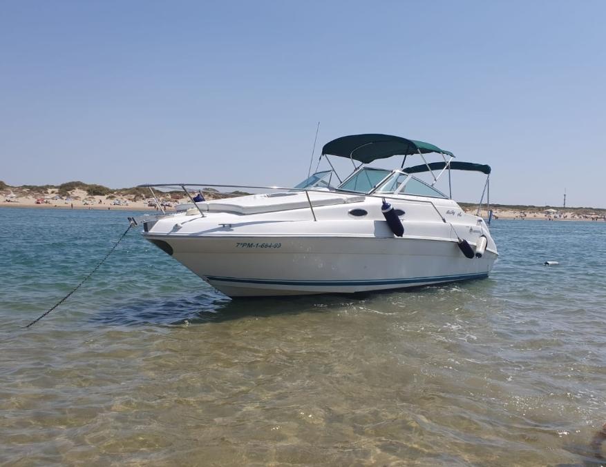 Ocasión 1996 Sea Ray 240 DA Sundancer - Huelva | TopBarcos.com