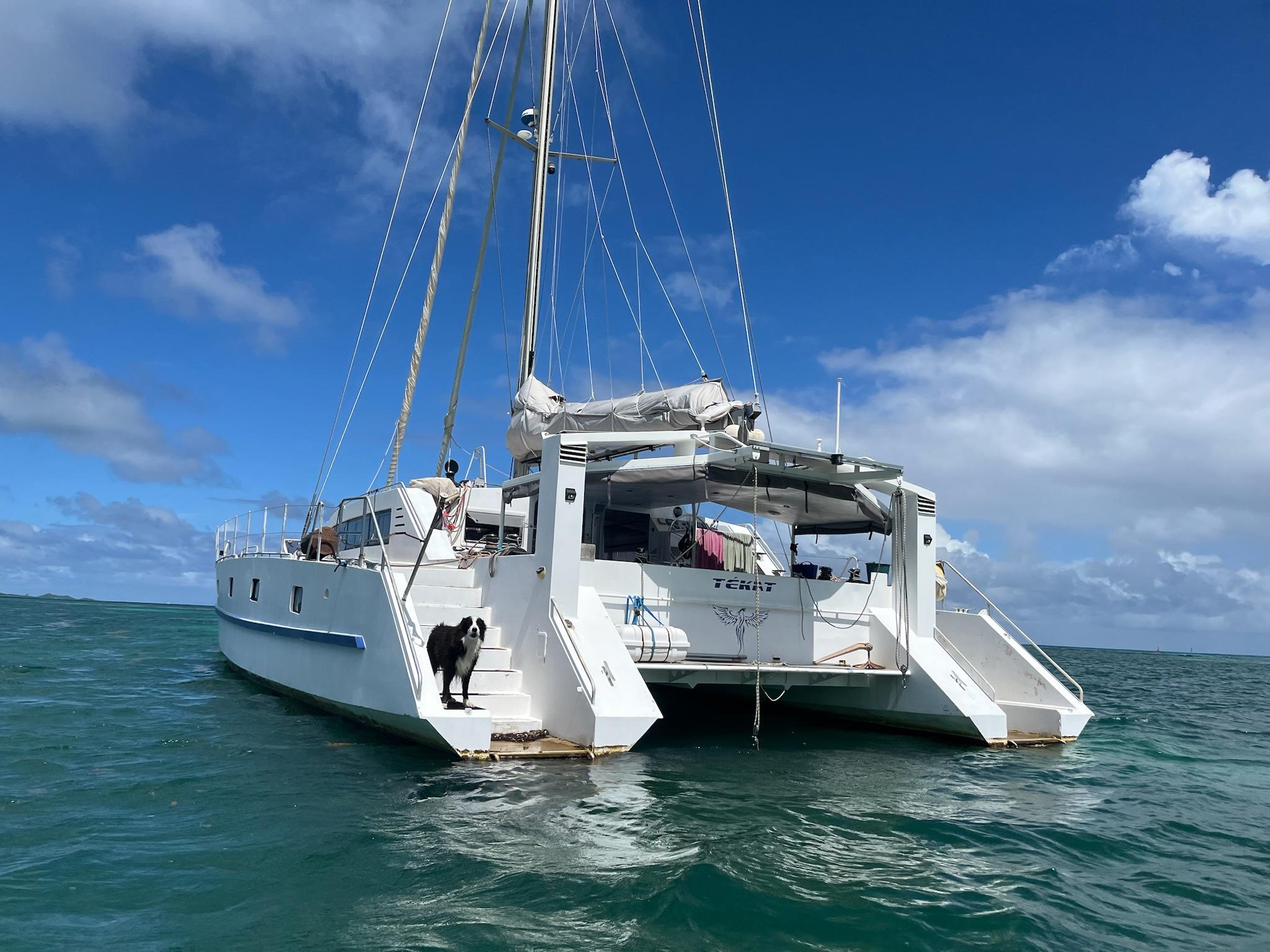 2006 Roland Garde Catamaran Aluminium 55 Catamaran for sale - YachtWorld