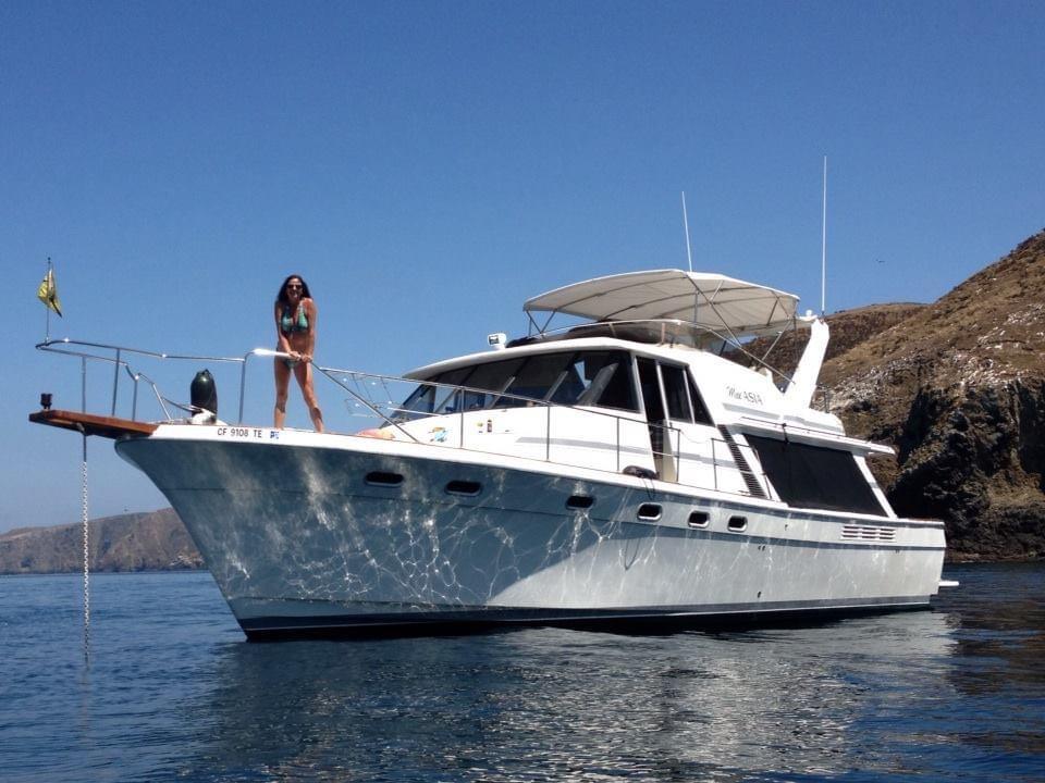 Used 1990 Bayliner 4588 Motoryacht - California | TopBoats