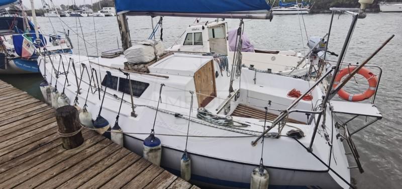 1978 Custom Progressive Yacht GOLDEN LION - Cuneo | Boatshop24 UK