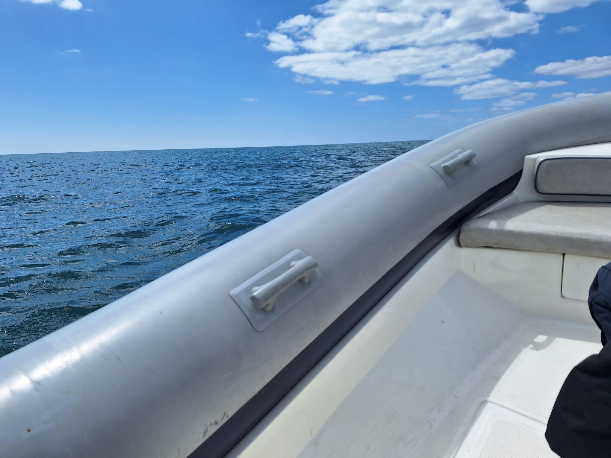 1999 Ribtec 5.50 Rigid Inflatable Boats (RIB) for sale - YachtWorld