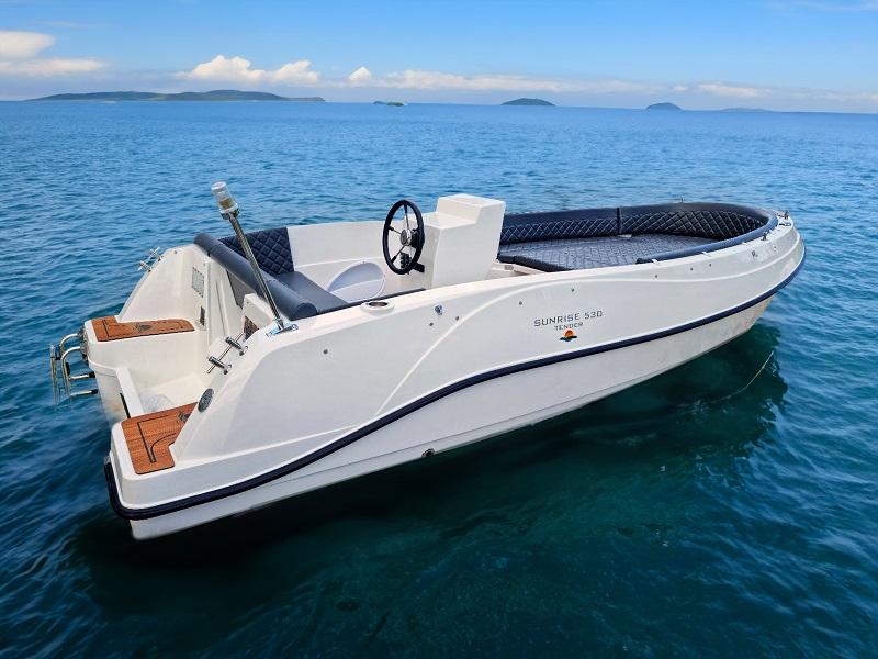 New 2024 Sunrise Sunrise 530 Tender | TopBoats