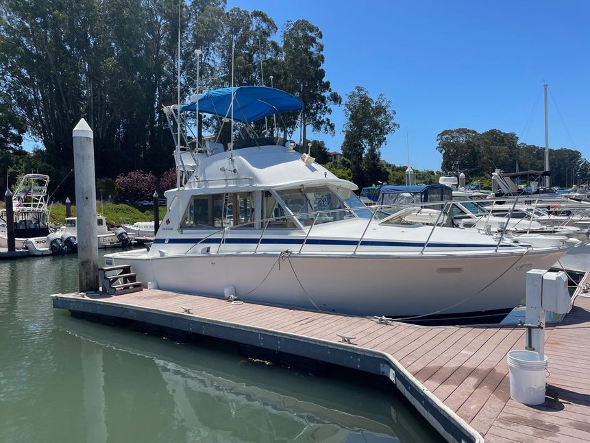 1977 Bertram Flybridge Cruiser Flybridge for sale - YachtWorld