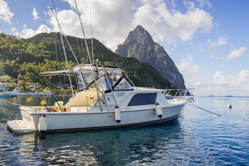 1969 Bertram 31 Express Cruiser for sale - YachtWorld