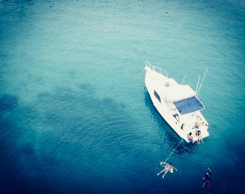 1969 Bertram 31 Express Cruiser for sale - YachtWorld