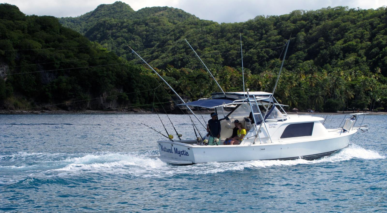 1969 Bertram 31 Express Cruiser for sale - YachtWorld