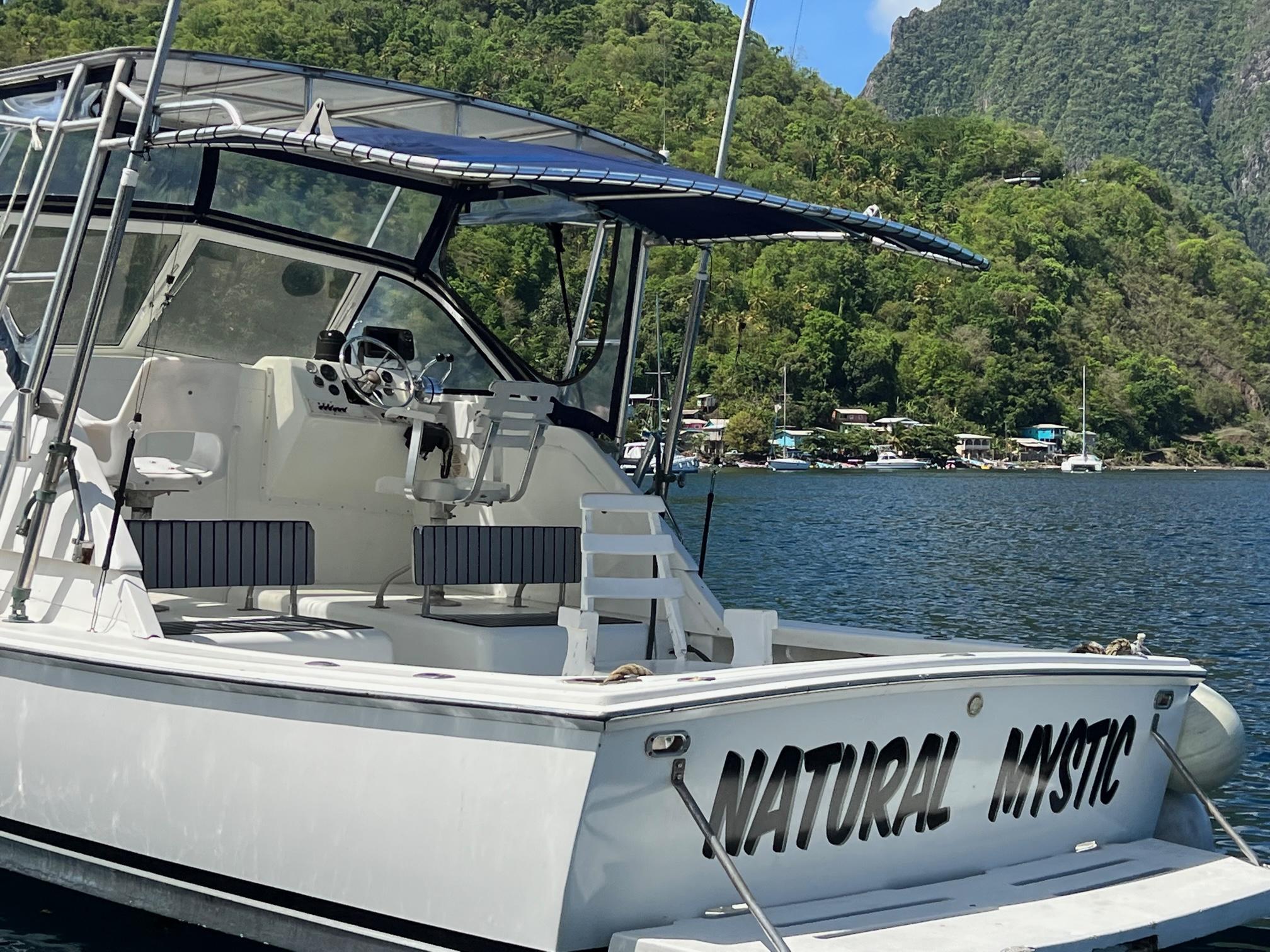 1969 Bertram 31 Express Cruiser for sale - YachtWorld