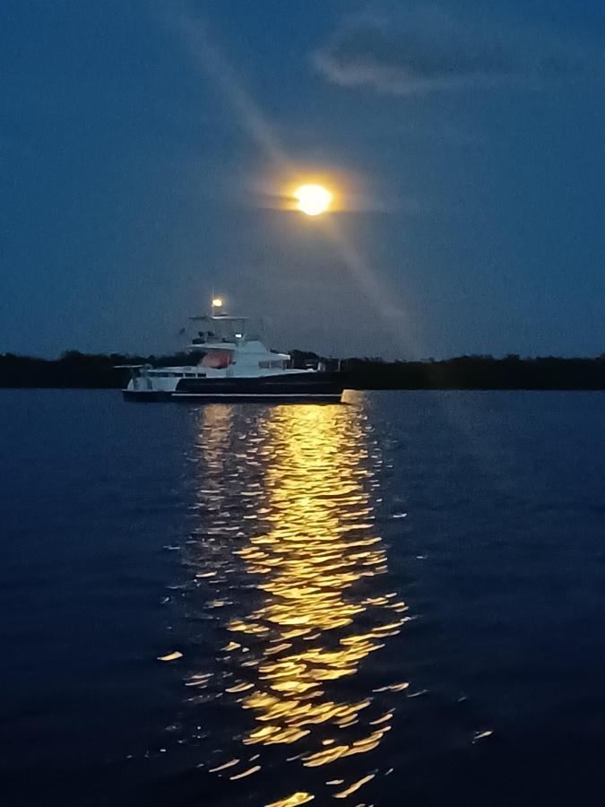 2003 Lagoon 43 PC Power Catamaran for sale - YachtWorld