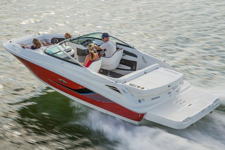 2017 Sea Ray SDX 220 Runabout for sale - YachtWorld