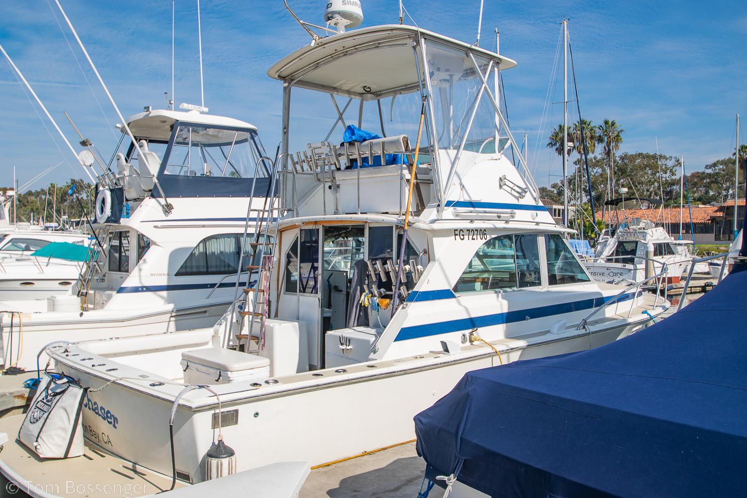 1976 Bertram 35 Convertible Sport Fishing for sale - YachtWorld