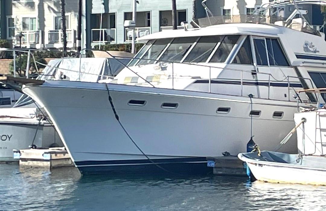 Bayliner boat sales store