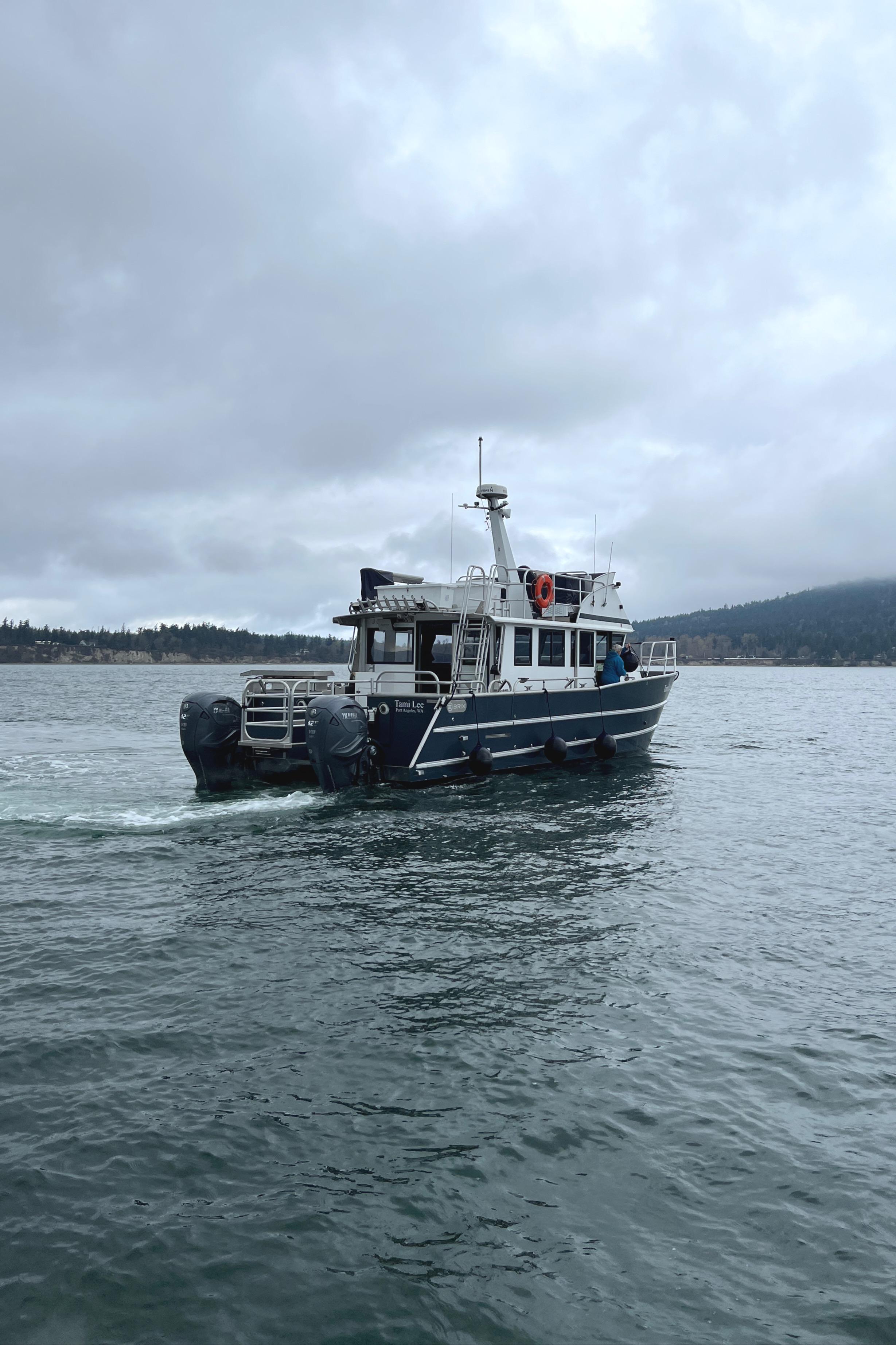 2022 Brix Marine 3814 RecPro Aluminium Fish for sale - YachtWorld