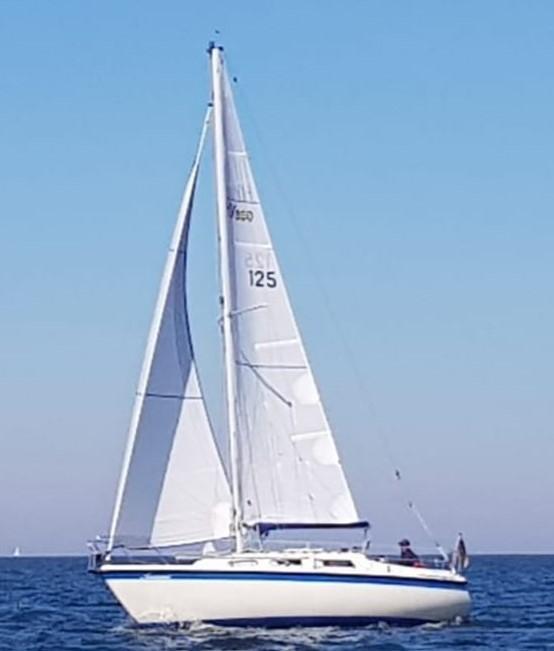 Used 1982 Hurley 800 | TopBoats