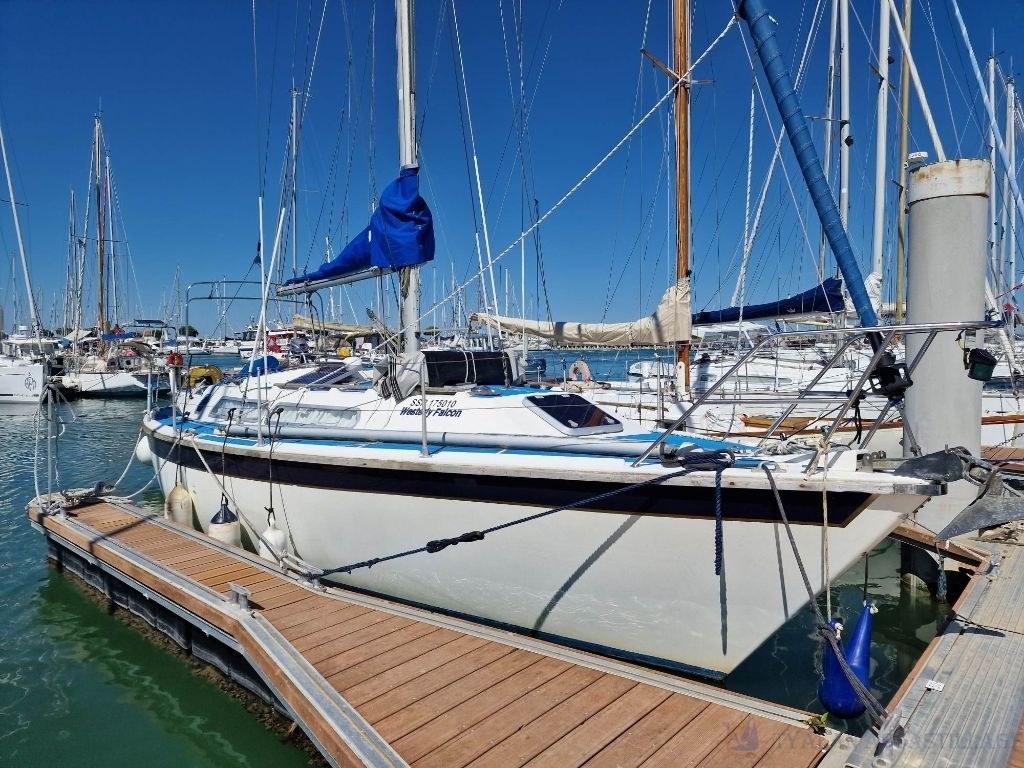 Westerly Falcon | 1985 | 10m | Boatshop24