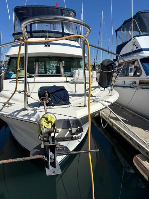 1990 Riviera 33 Blue Water Convertible for sale - YachtWorld
