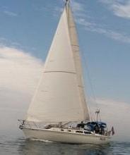 1989 Catalina 36 MK1 Sloop for sale - YachtWorld