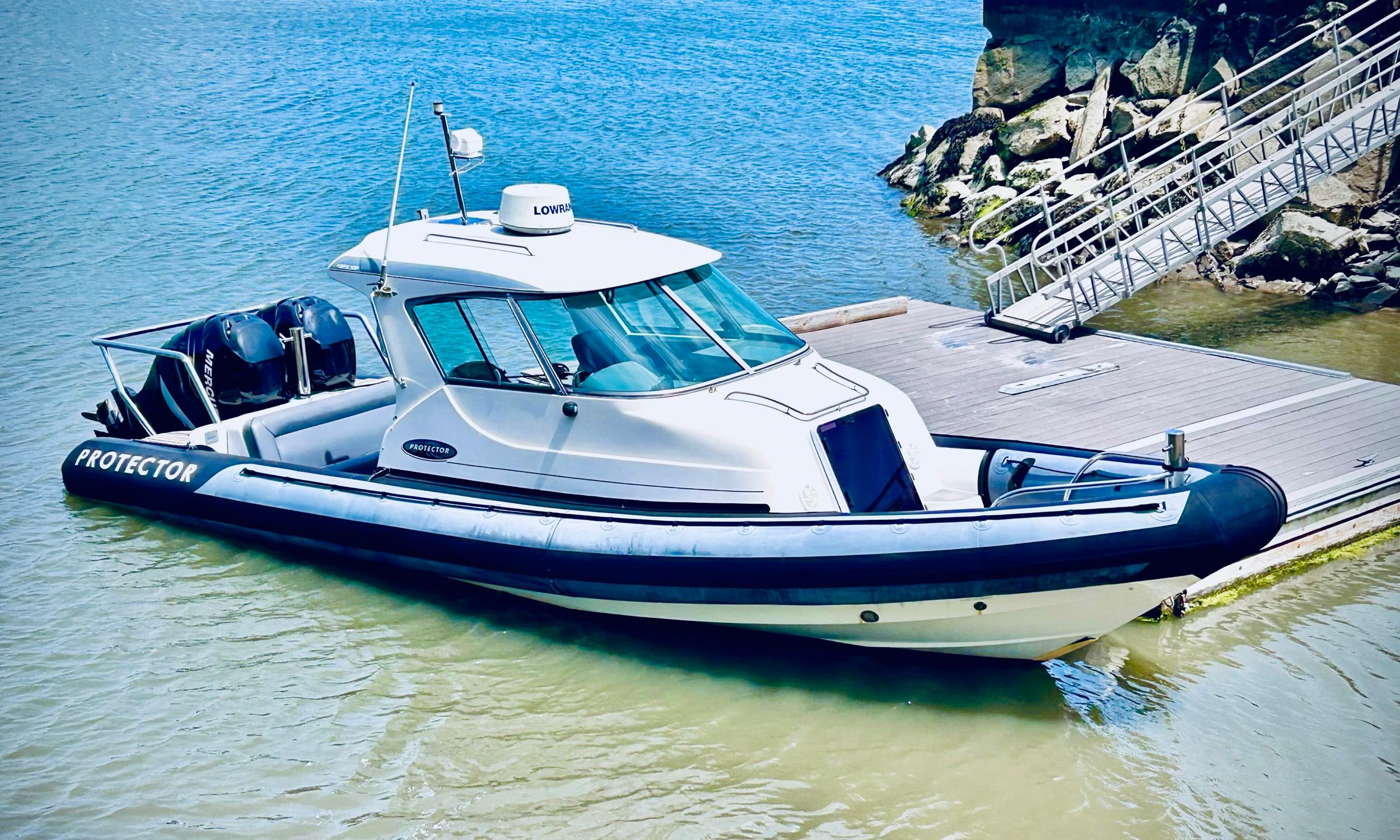 Protector boats for sale | YachtWorld