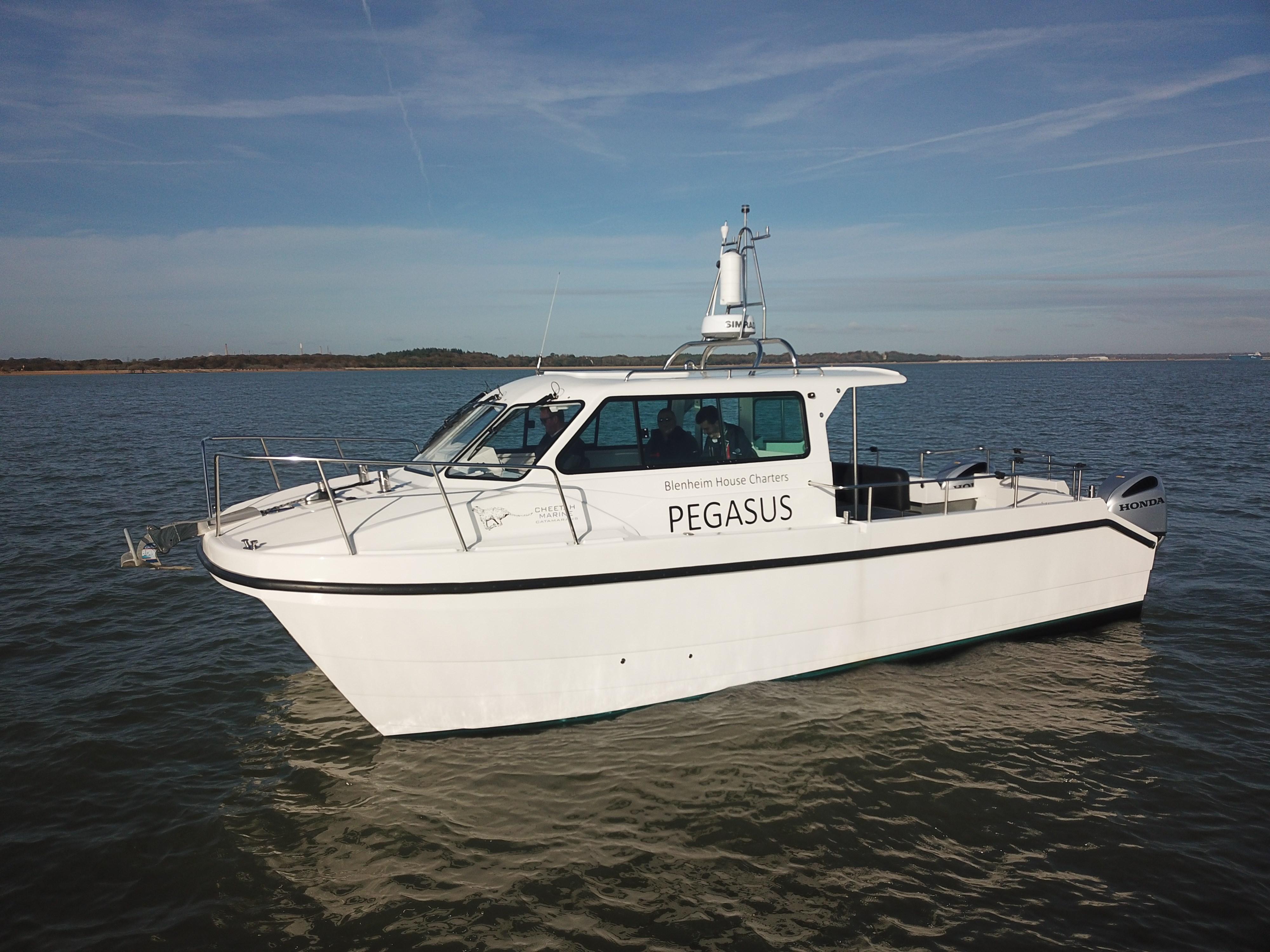 2022 Cheetah Marine 8.9m Long Wheelhouse Cruiser for sale - YachtWorld