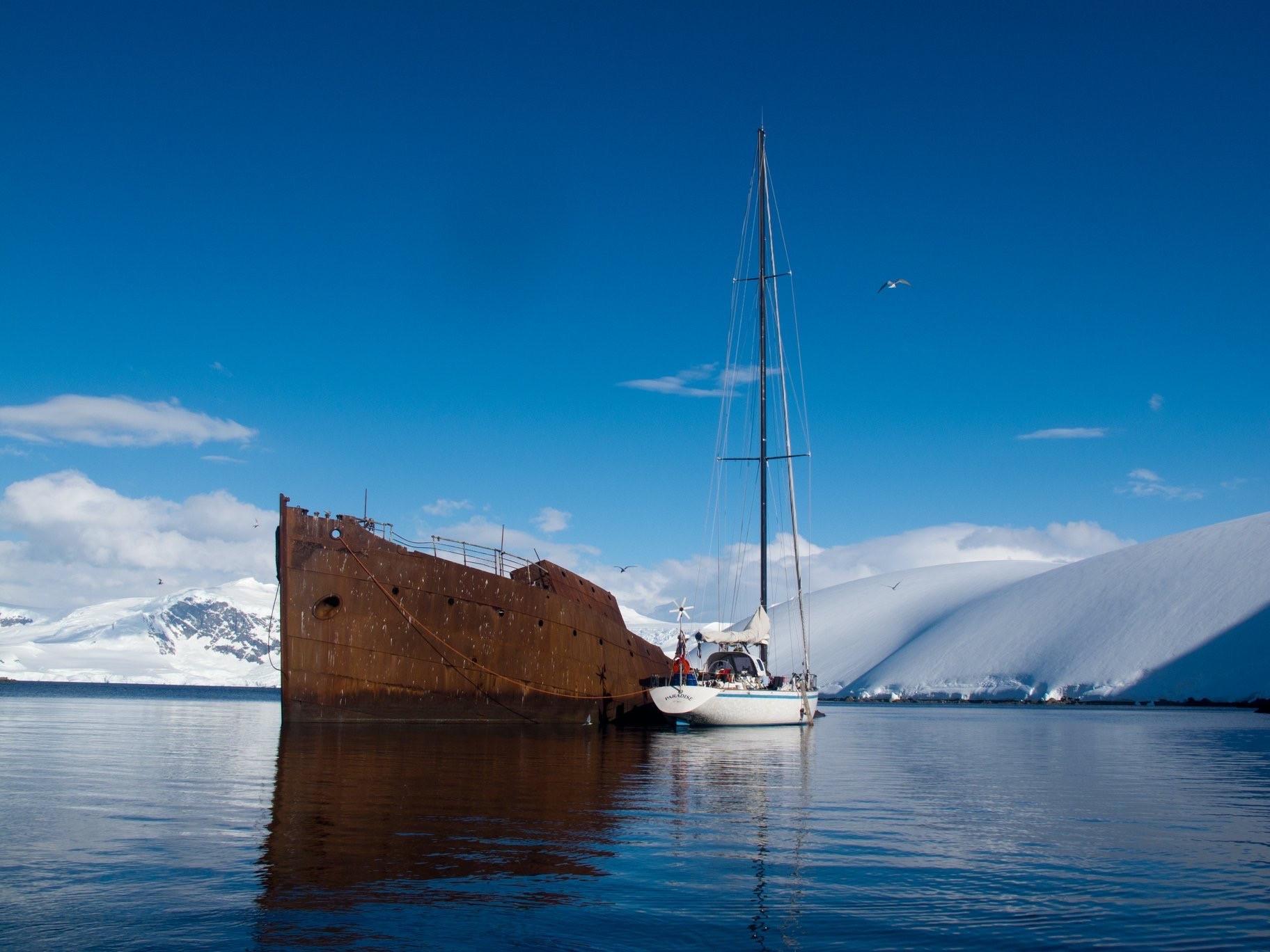 1982 Frers Swan 65 prototype Slup Kaufen - YachtWorld