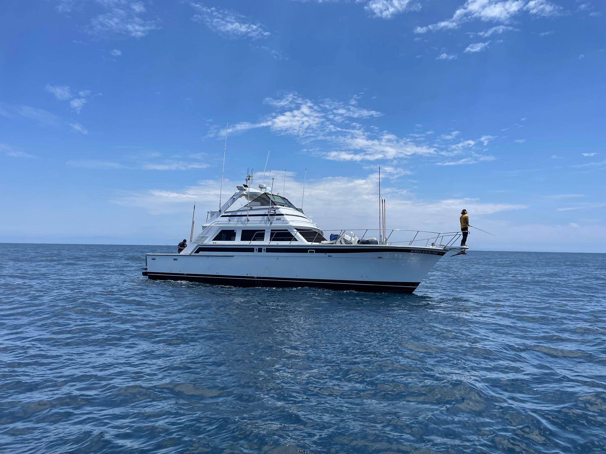 1981 Bertram Convertible Convertible for sale - YachtWorld