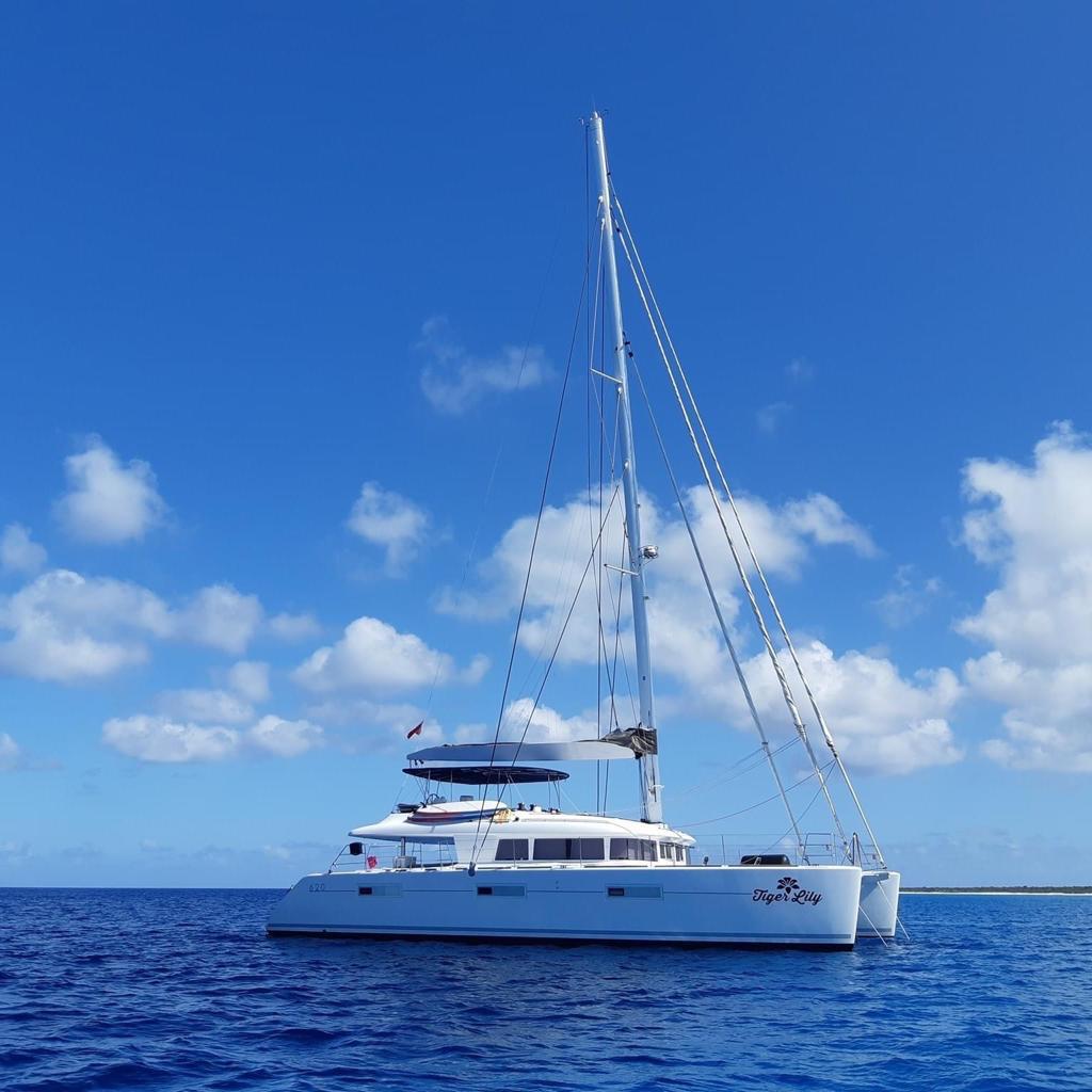 2015 Lagoon 620 Multi-Hull for sale - YachtWorld