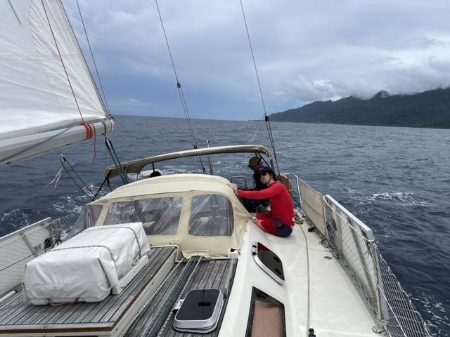 1994 Custom cold-molded wood sloop Sloop for sale - YachtWorld