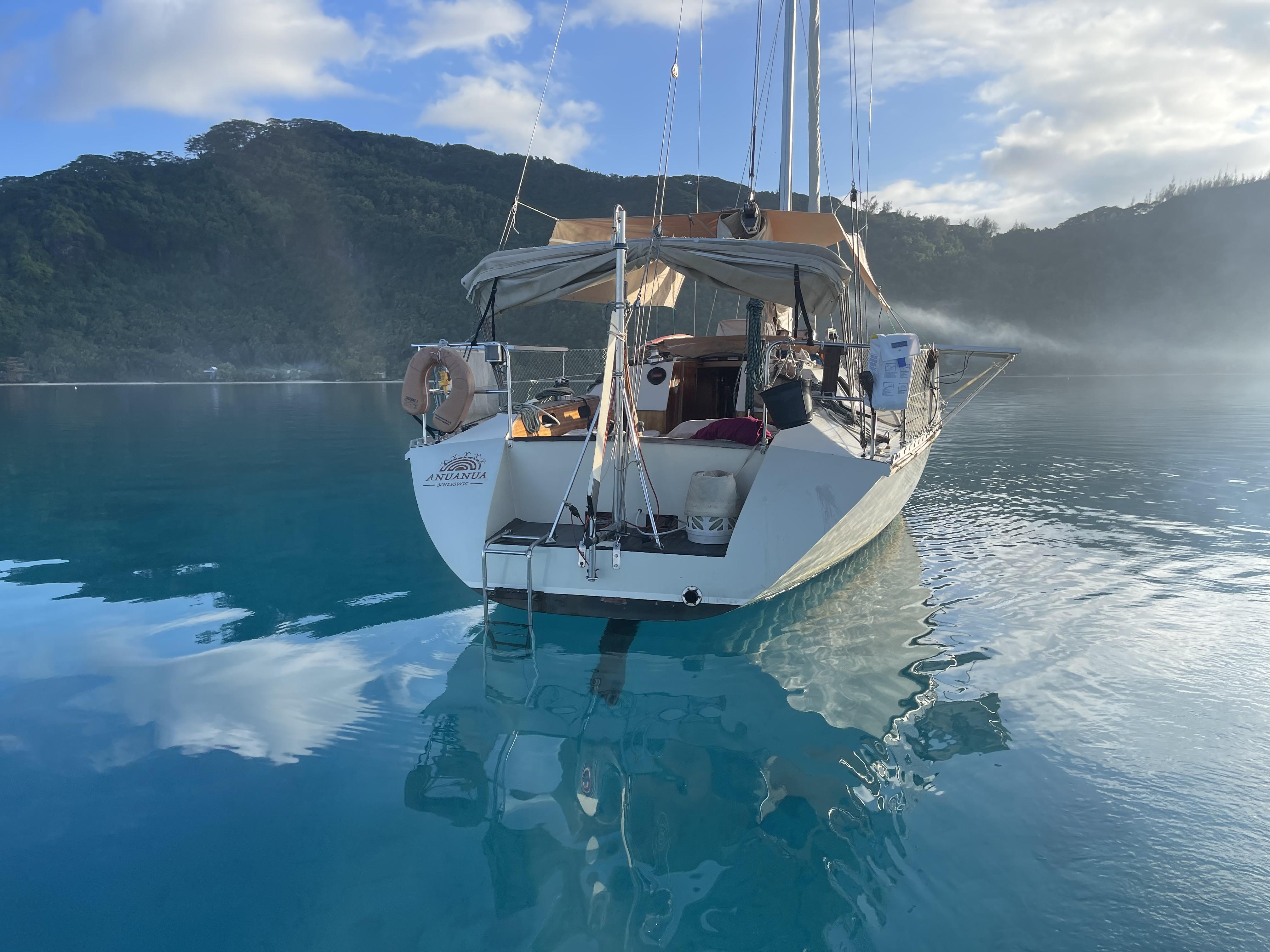 1994 Custom cold-molded wood sloop Sloop for sale - YachtWorld