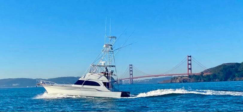 Fishing yachts for sale store