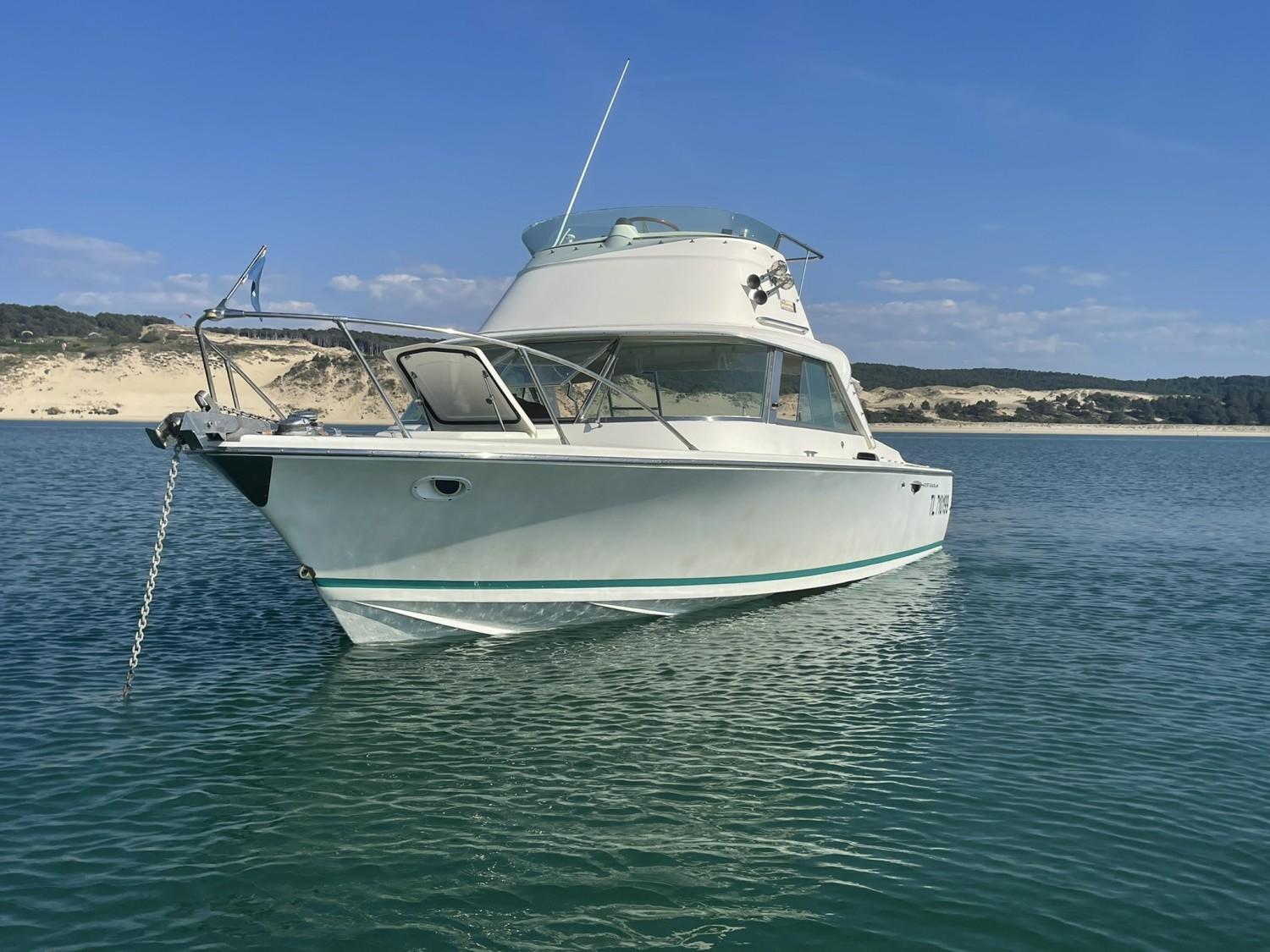 Occasion 1975 Riva Bertram 25 Sport Fisherman - Gironde ( 33 ...