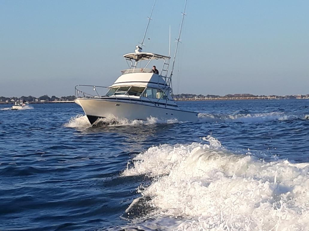 1973 Bertram 35 Convertible Convertible Boat for sale - YachtWorld