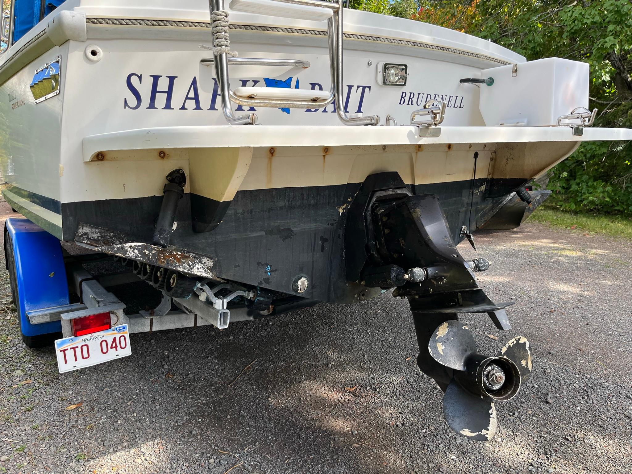 1989 Limestone 24 Express Cruiser Express Cruiser for sale - YachtWorld